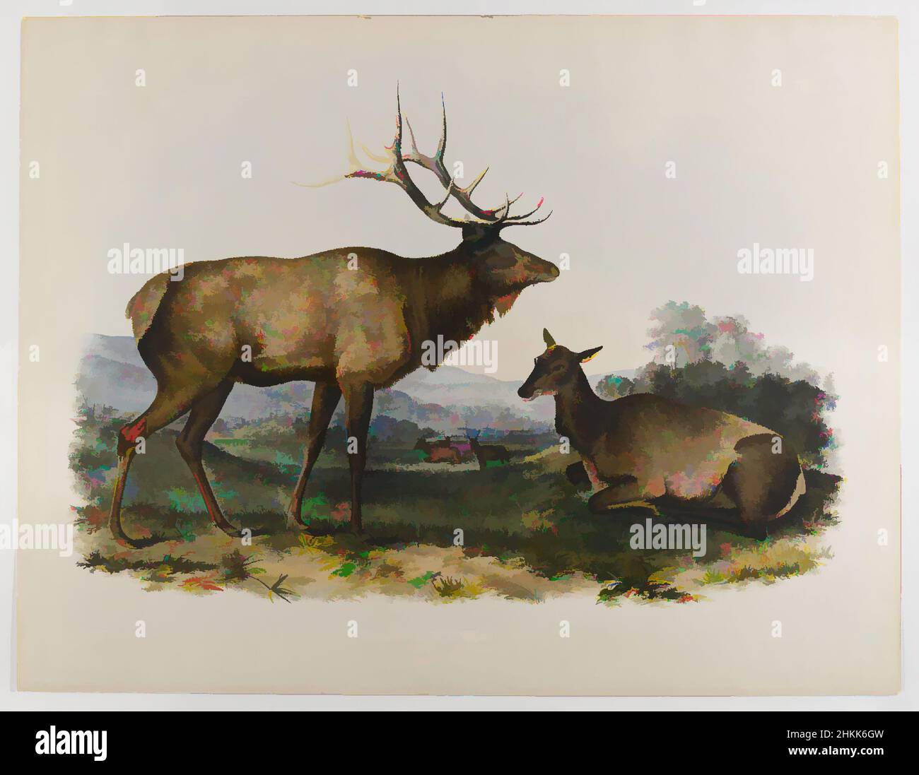 Art inspired by American Elk, John James Audubon, American, born Haiti ...