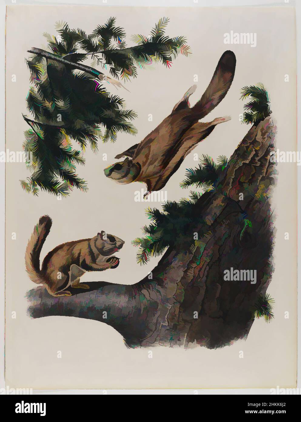 Rocky The Flying Squirrel