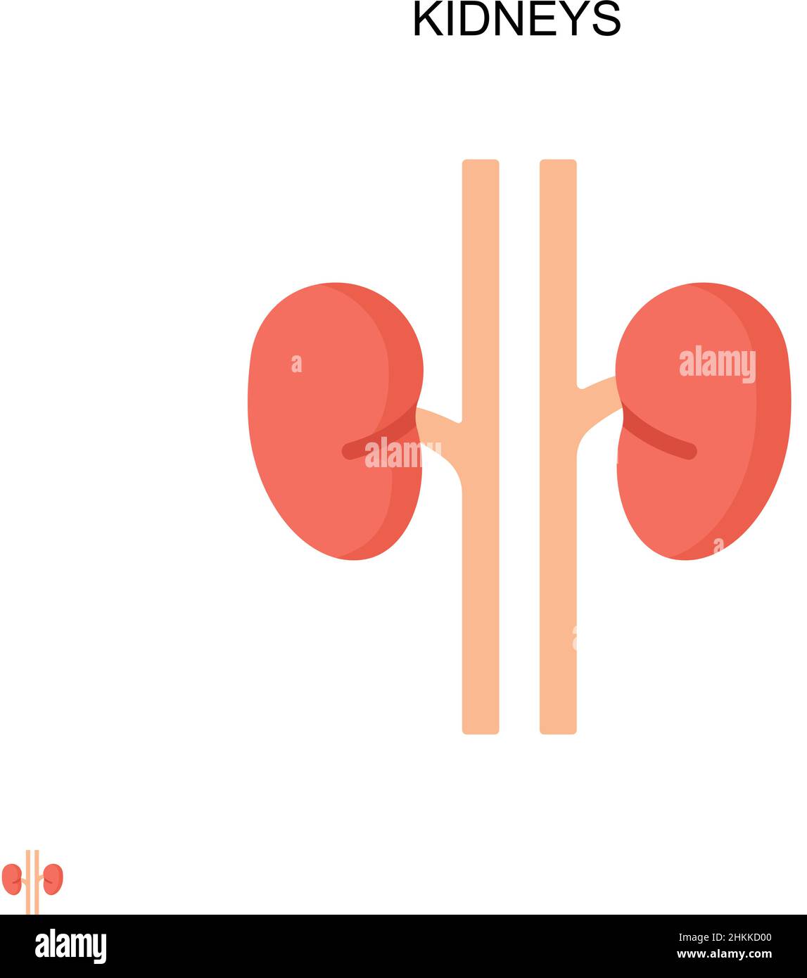 Kidneys Simple vector icon. Illustration symbol design template for web ...