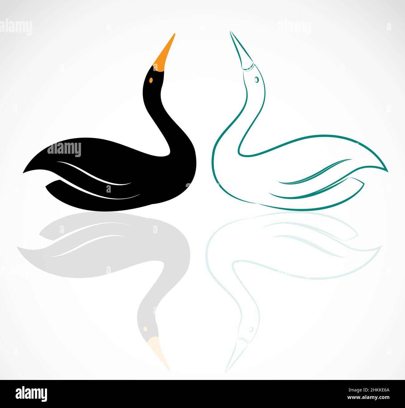 Flying swan vector vectors hi-res stock photography and images - Alamy