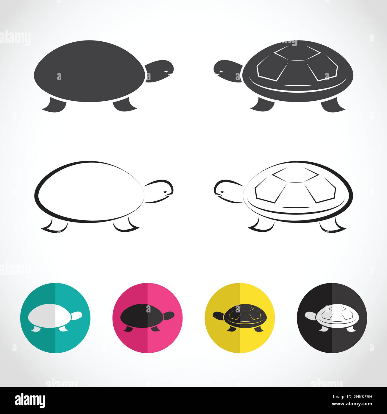 Vector group of turtle on white background. Easy editable layered ...