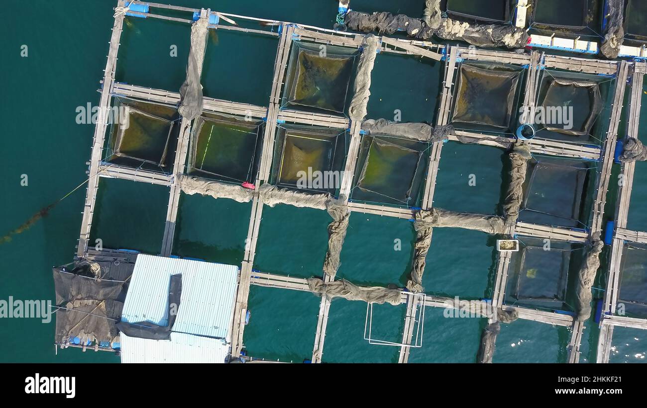 Aerial view of traditional floating fish pond on swamp in Indonesia ...