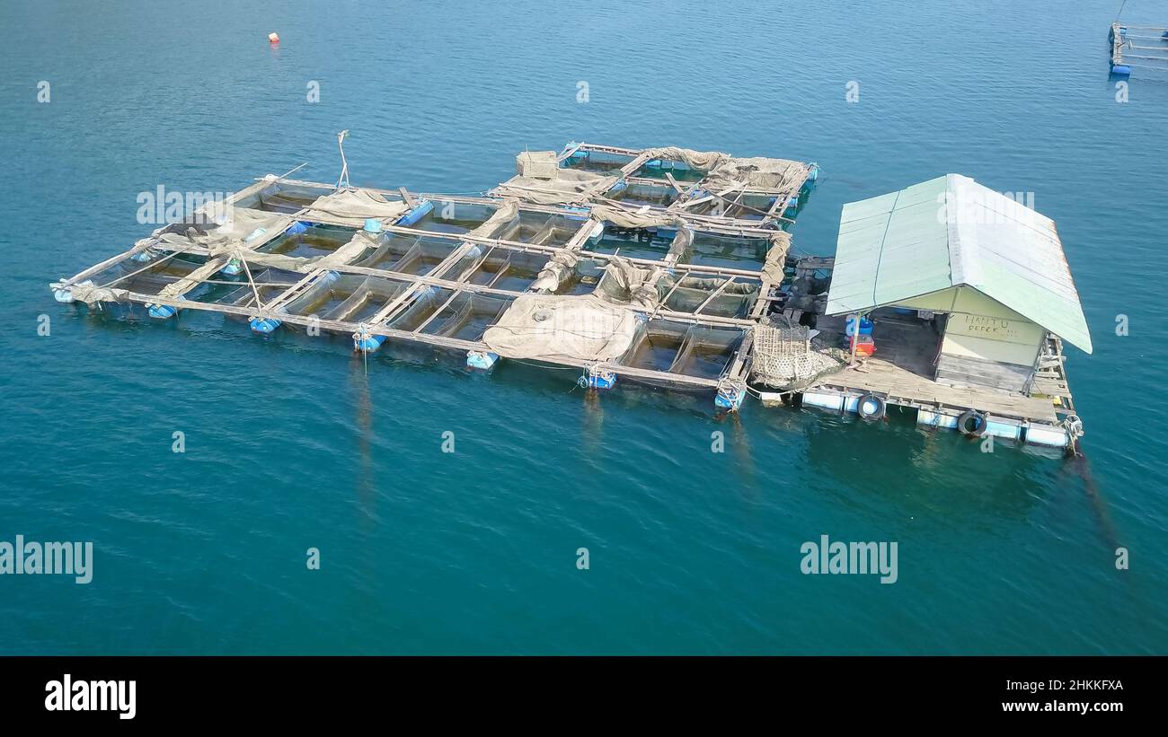 Aerial view of traditional floating fish pond on swamp in Indonesia ...