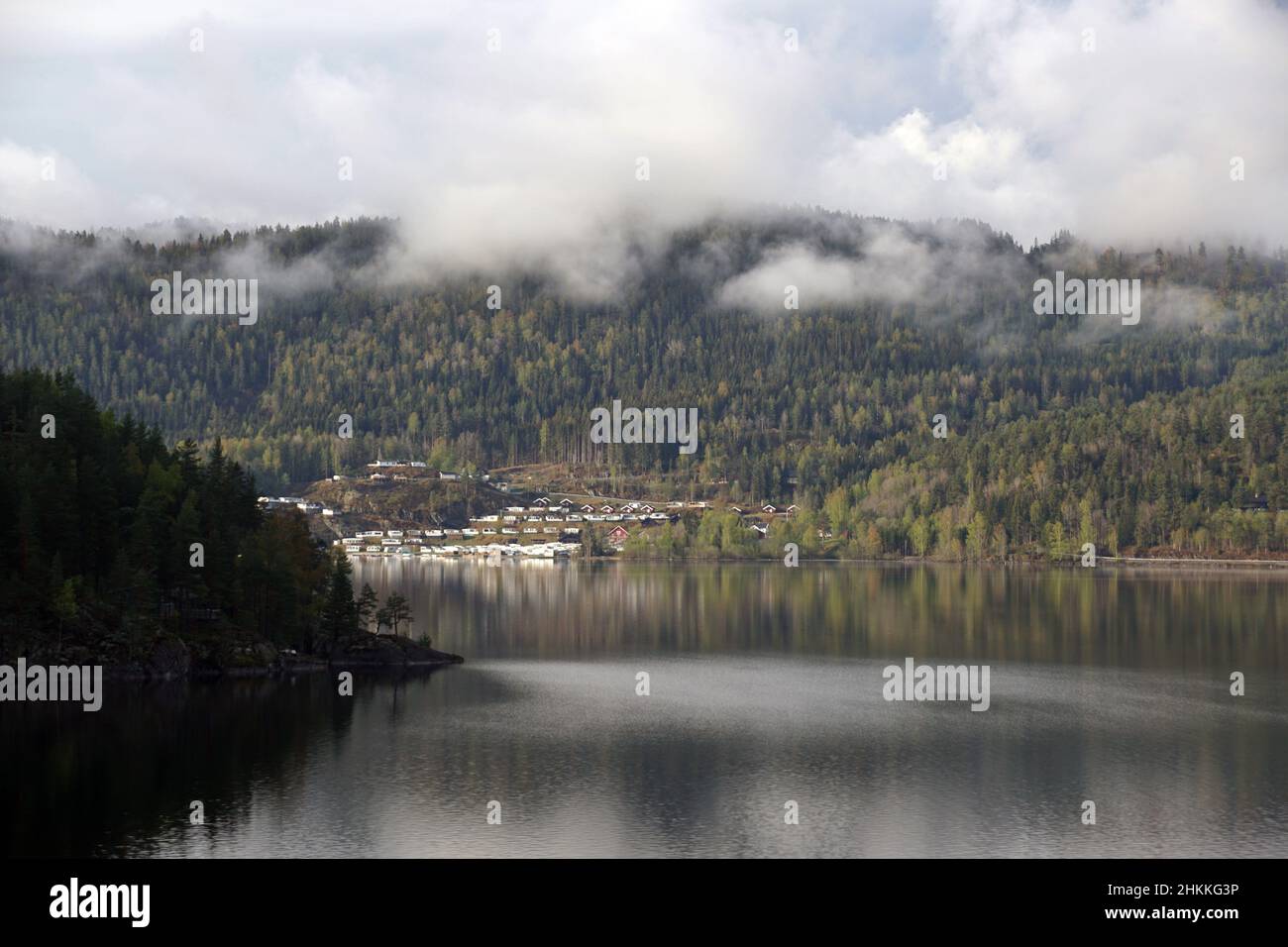 Beautiful landscape with lake, trees, dense forest and fog against a ...