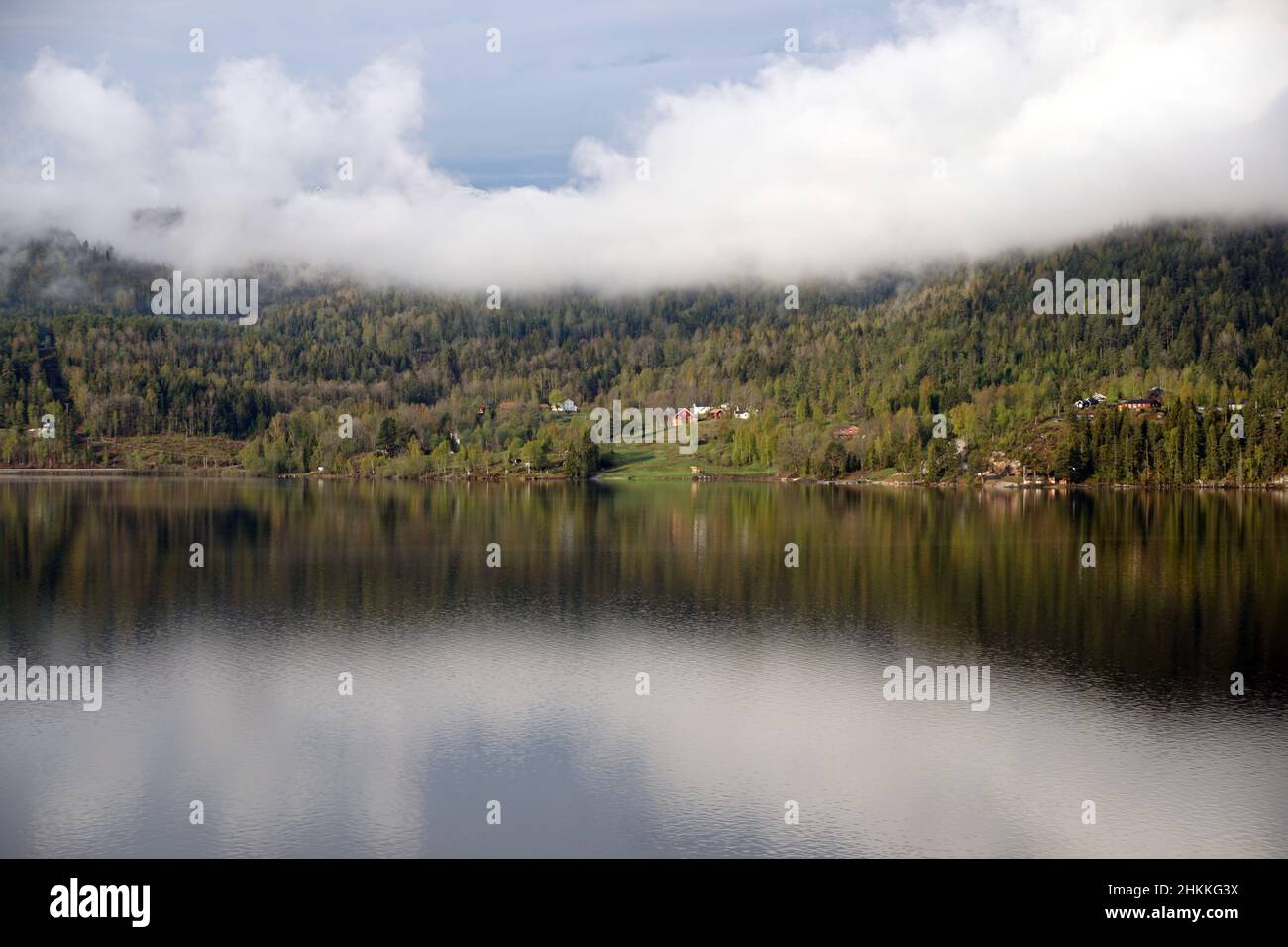 Beautiful landscape with lake, trees, dense forest and fog against a ...