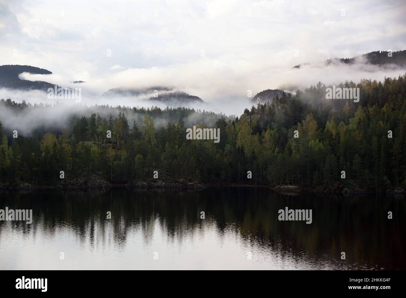 Beautiful landscape with lake, trees, dense forest and fog against a ...