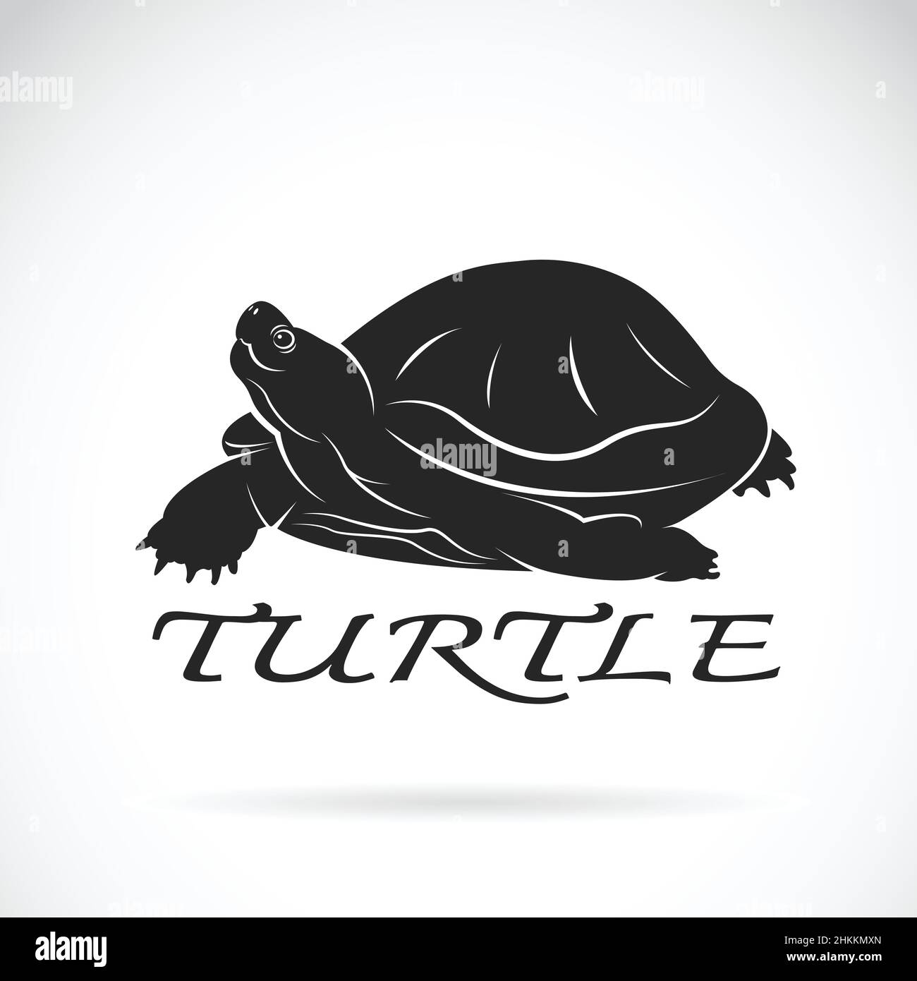 Vector of a turtle on white background. Reptile Animal. Easy editable ...