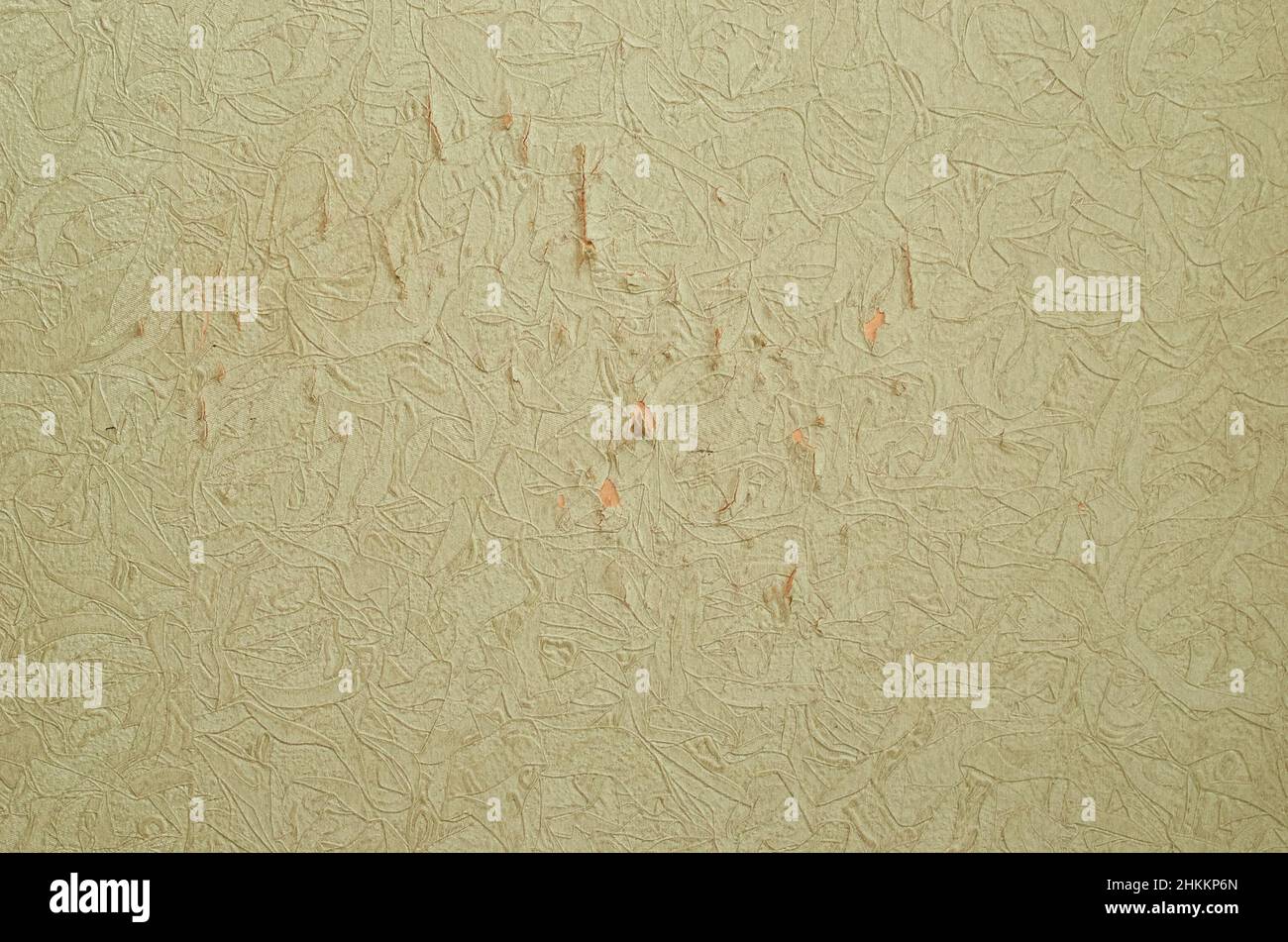 Claw Markings High Resolution Stock Photography and Images - Alamy