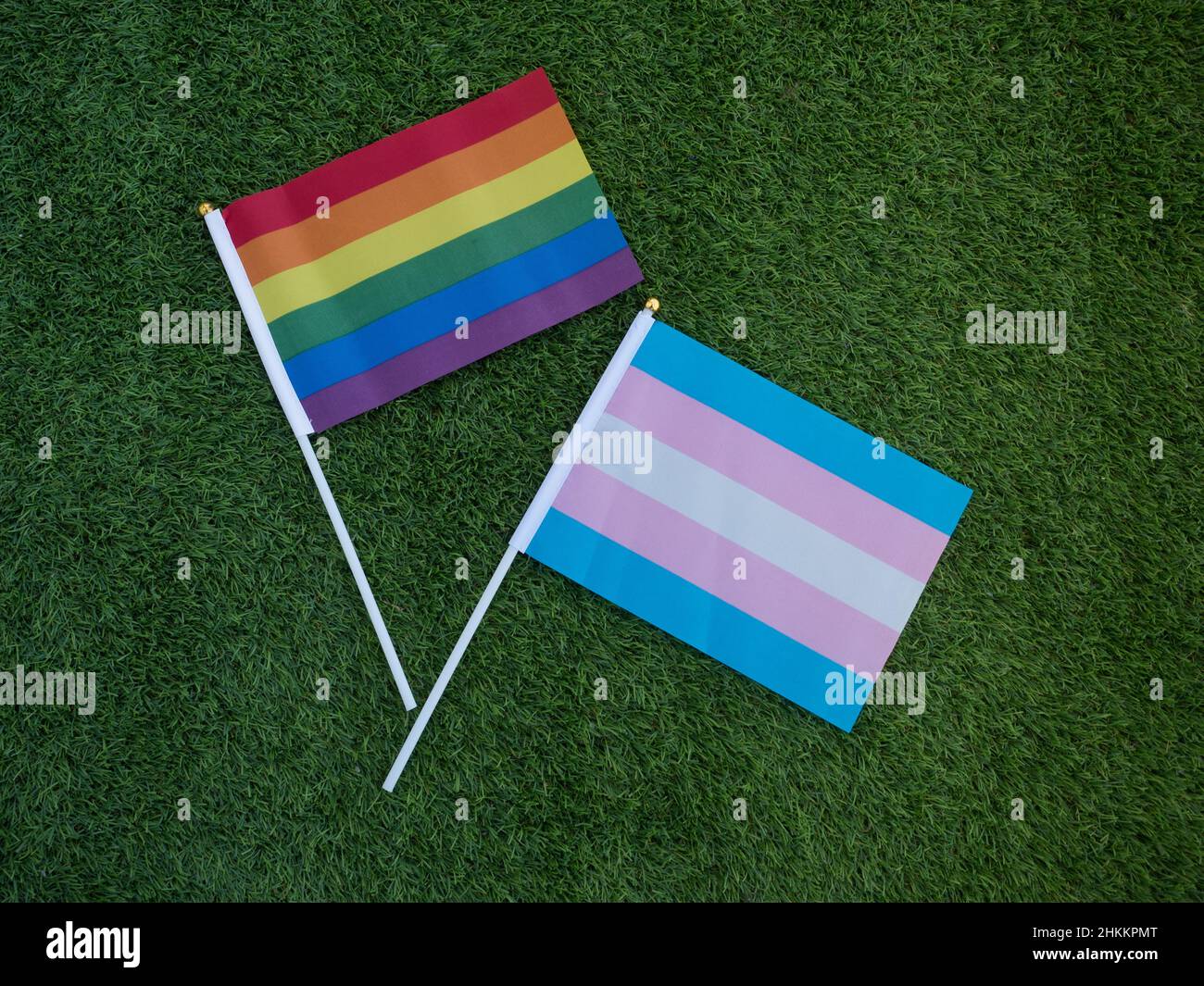 Rainbow flag and transgender flag on green grass background ...
