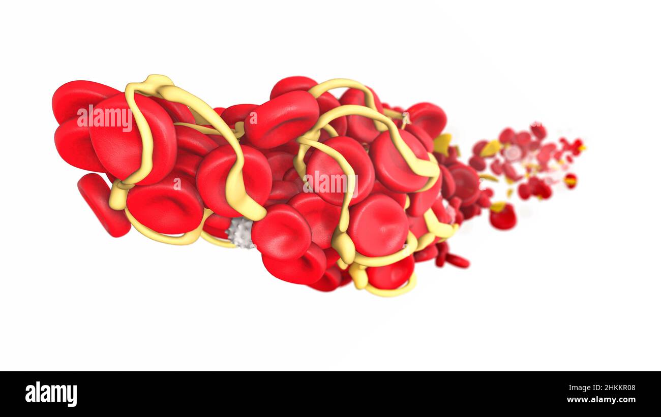 Blood clot fibrin Cut Out Stock Images & Pictures - Alamy