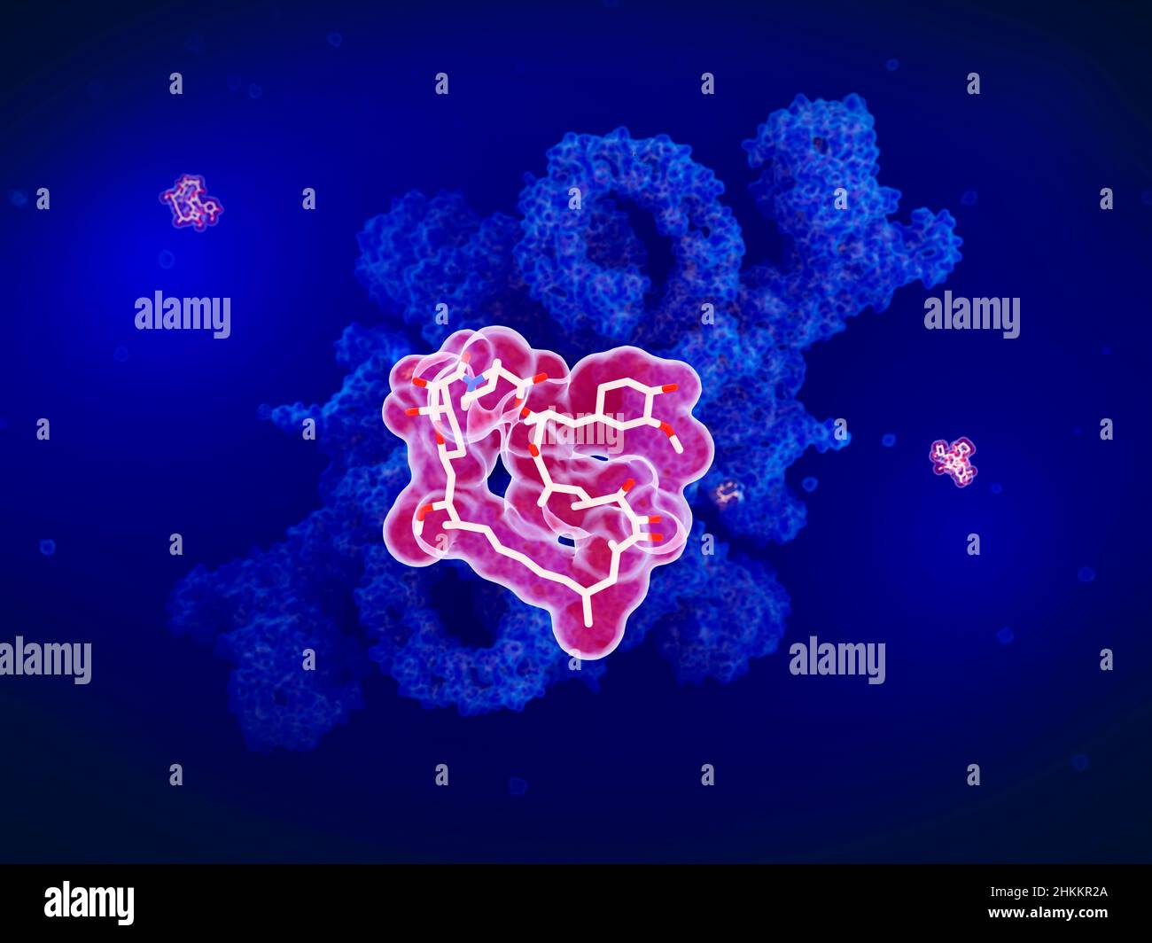 Immunosuppression hi-res stock photography and images - Alamy