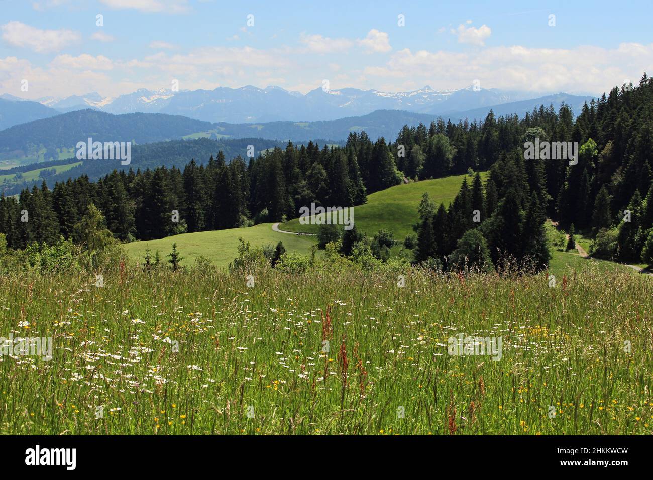 Bregenz forest mountains hi-res stock photography and images - Alamy