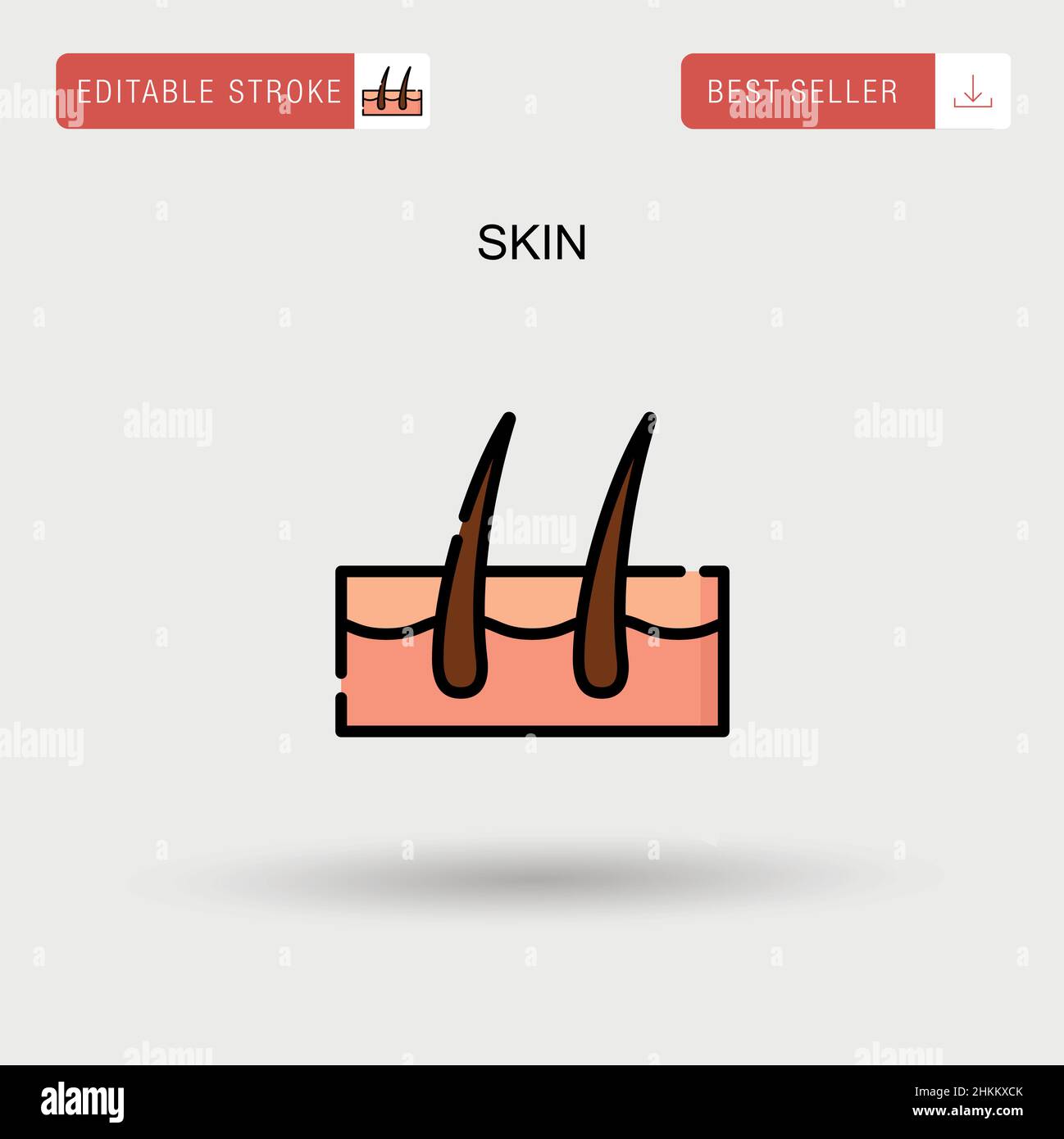 Skin Simple vector icon Stock Vector Image & Art - Alamy