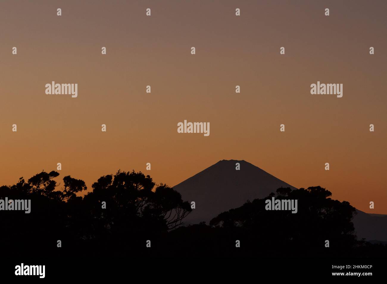 Mount Fuji seen at sunset behind trees on Enoshima Island, Kanagawa ...