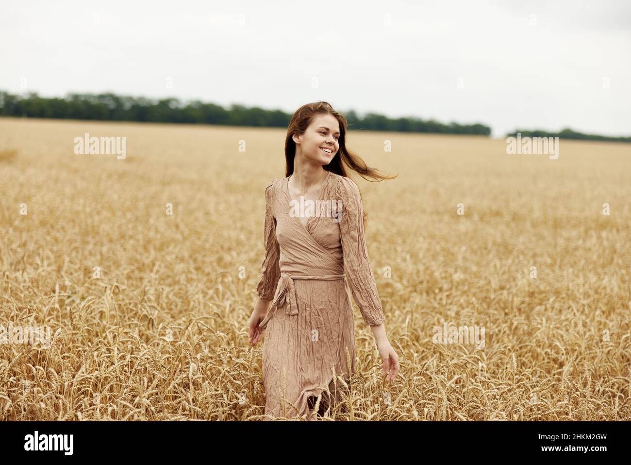 woman spikelets of wheat harvesting organic endless field Stock Photo - Alamy