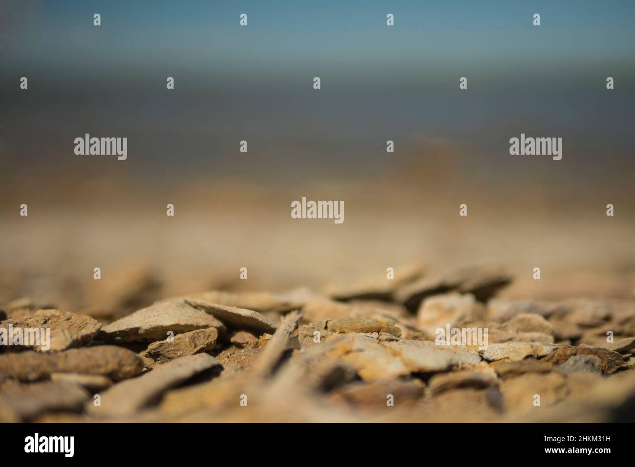 sharp sea stones on the beach Stock Photo - Alamy