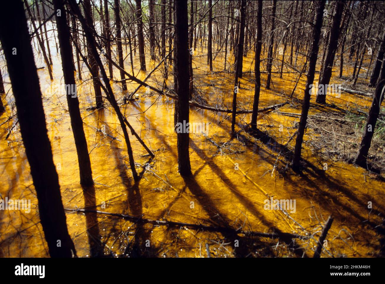 Allemagne de l'est pollution a bitterfeldMai 1990 Stock Photo - Alamy