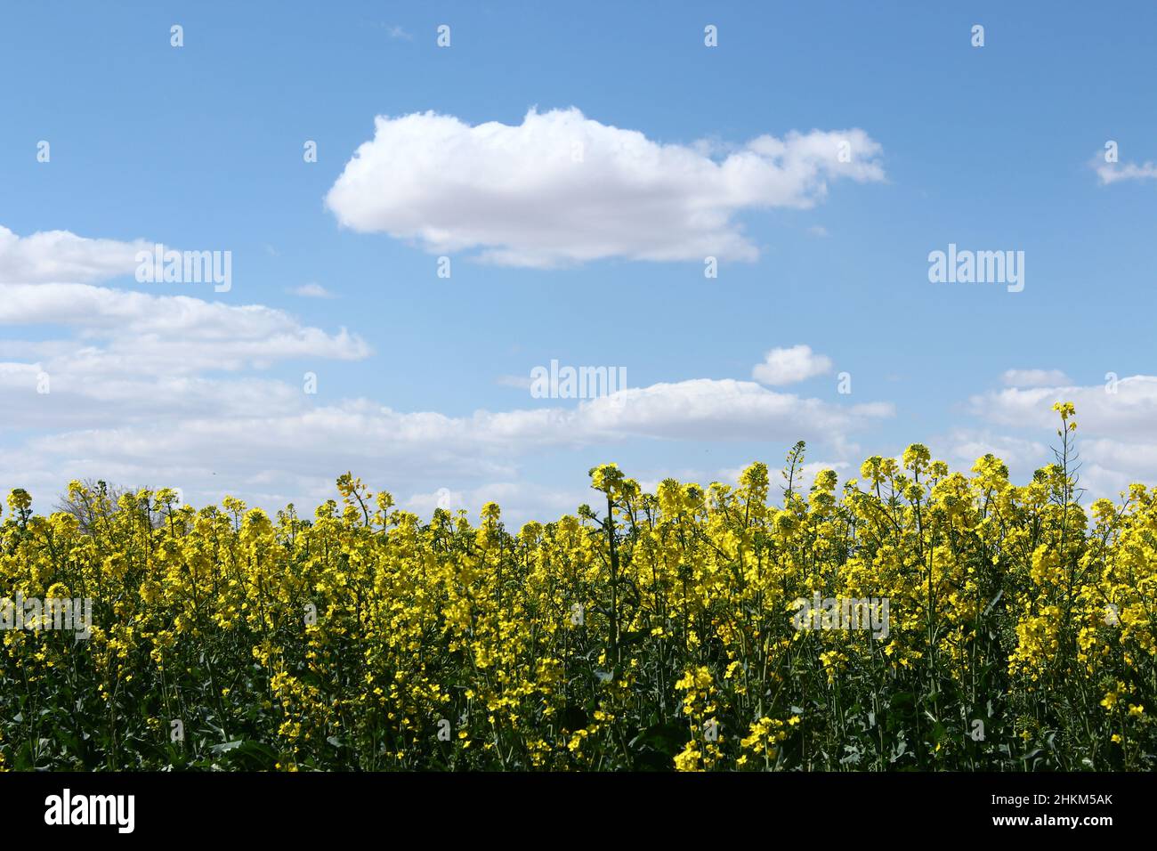 Feel atmosphere hi-res stock photography and images - Alamy