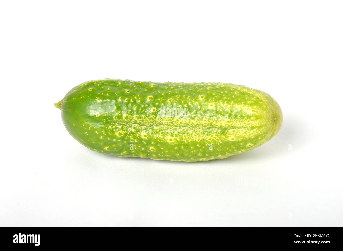 Small cucumber on a white background Stock Photo - Alamy