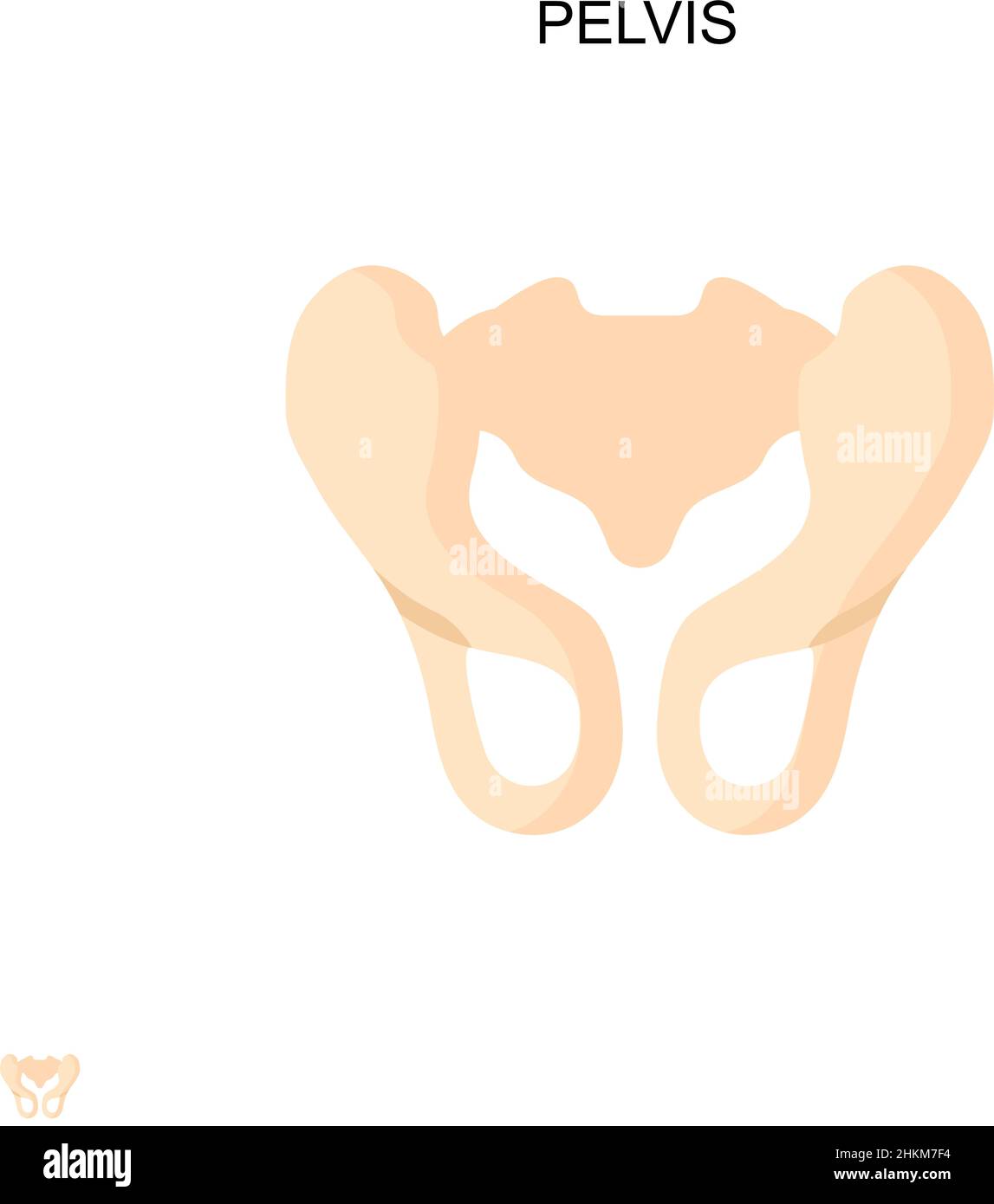 Bones male pelvis Stock Vector Images - Alamy