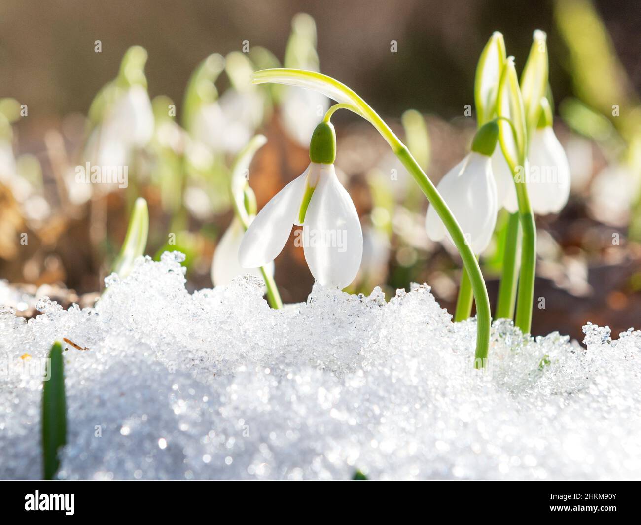 First ray of sunshine hi-res stock photography and images - Alamy