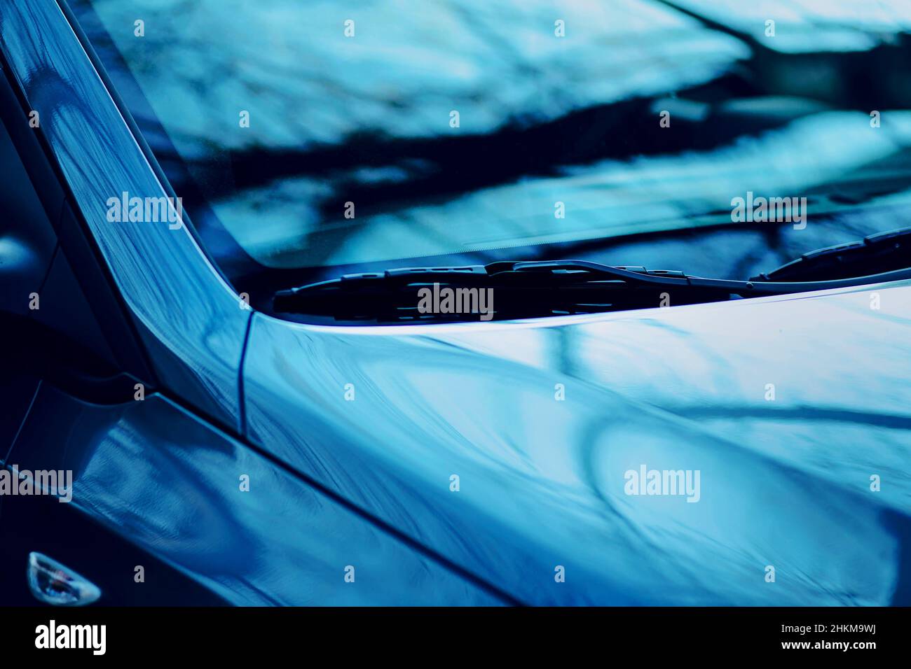 Car reflected reflection trees new hi-res stock photography and images ...
