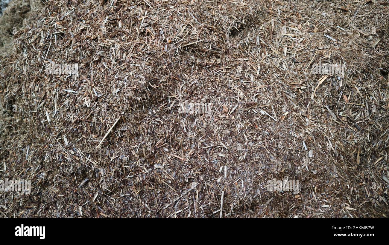 pile of wood waste Stock Photo - Alamy