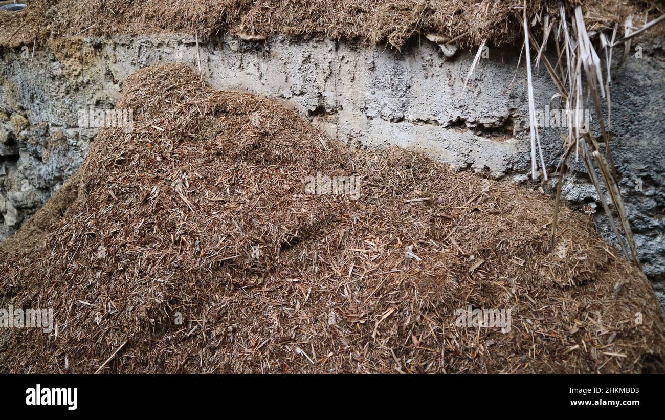 pile of wood waste Stock Photo - Alamy