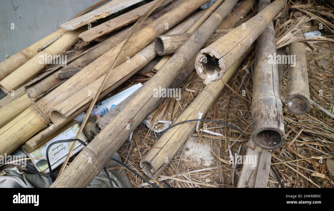 dry bamboo sticks Stock Photo - Alamy