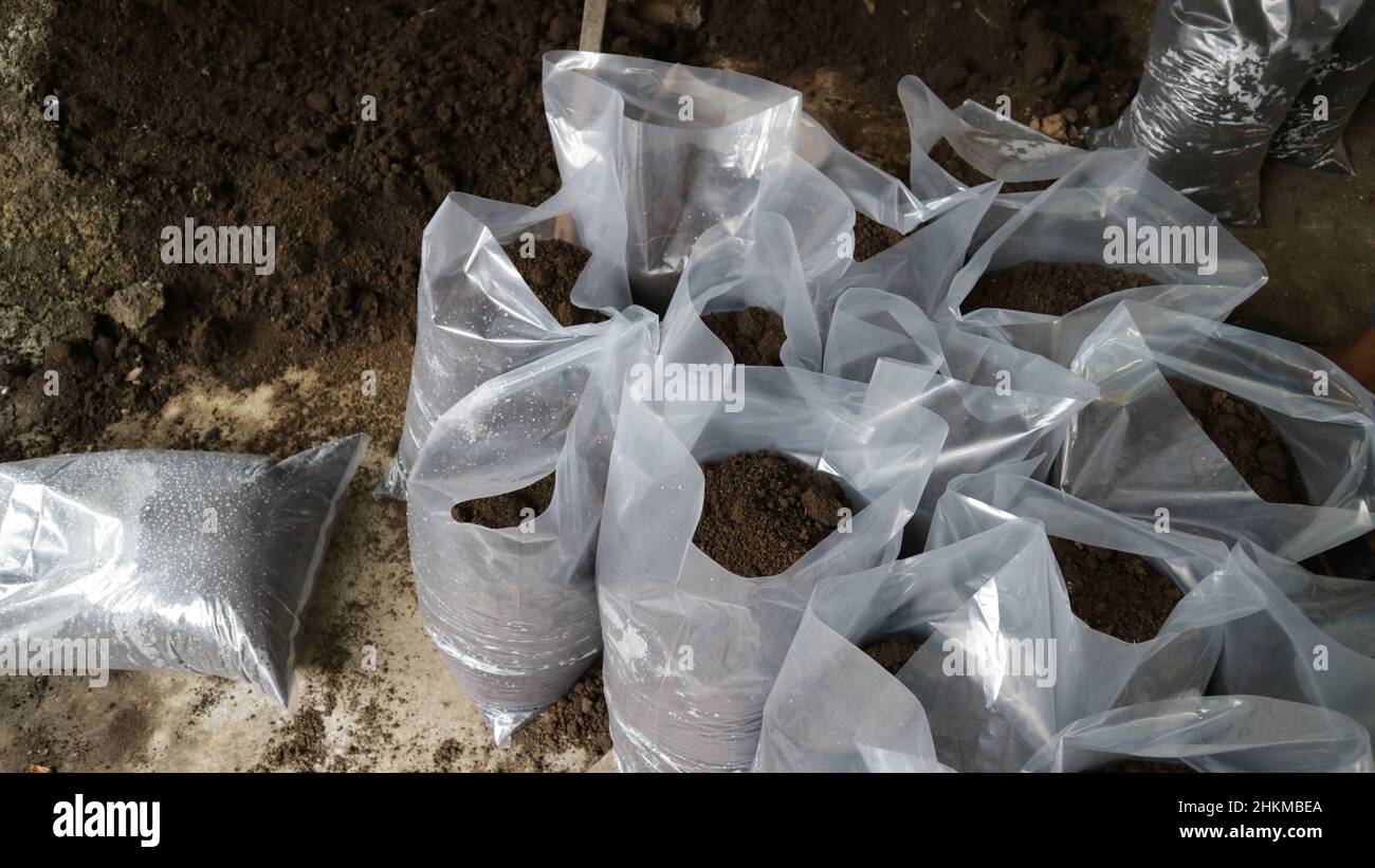 organic fertilizer packaging Stock Photo - Alamy