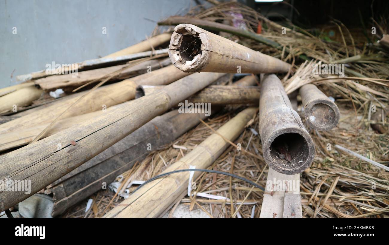 dry bamboo sticks Stock Photo - Alamy