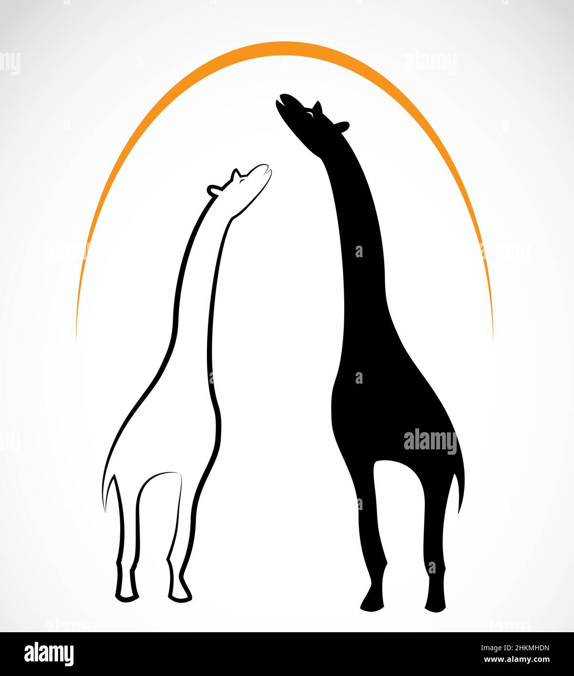 Vector image of giraffe on white background. Easy editable layered ...