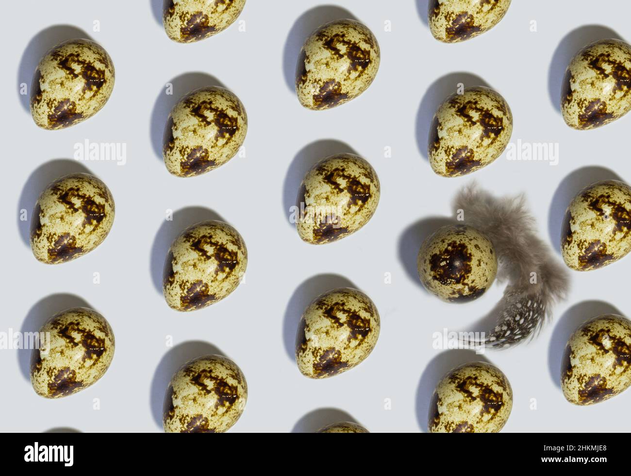 Quail eggs, pattern, top view, simple composition Stock Photo - Alamy