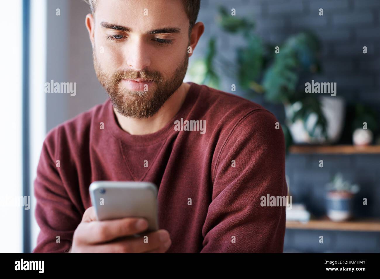 Working remotely at home Stock Photo - Alamy
