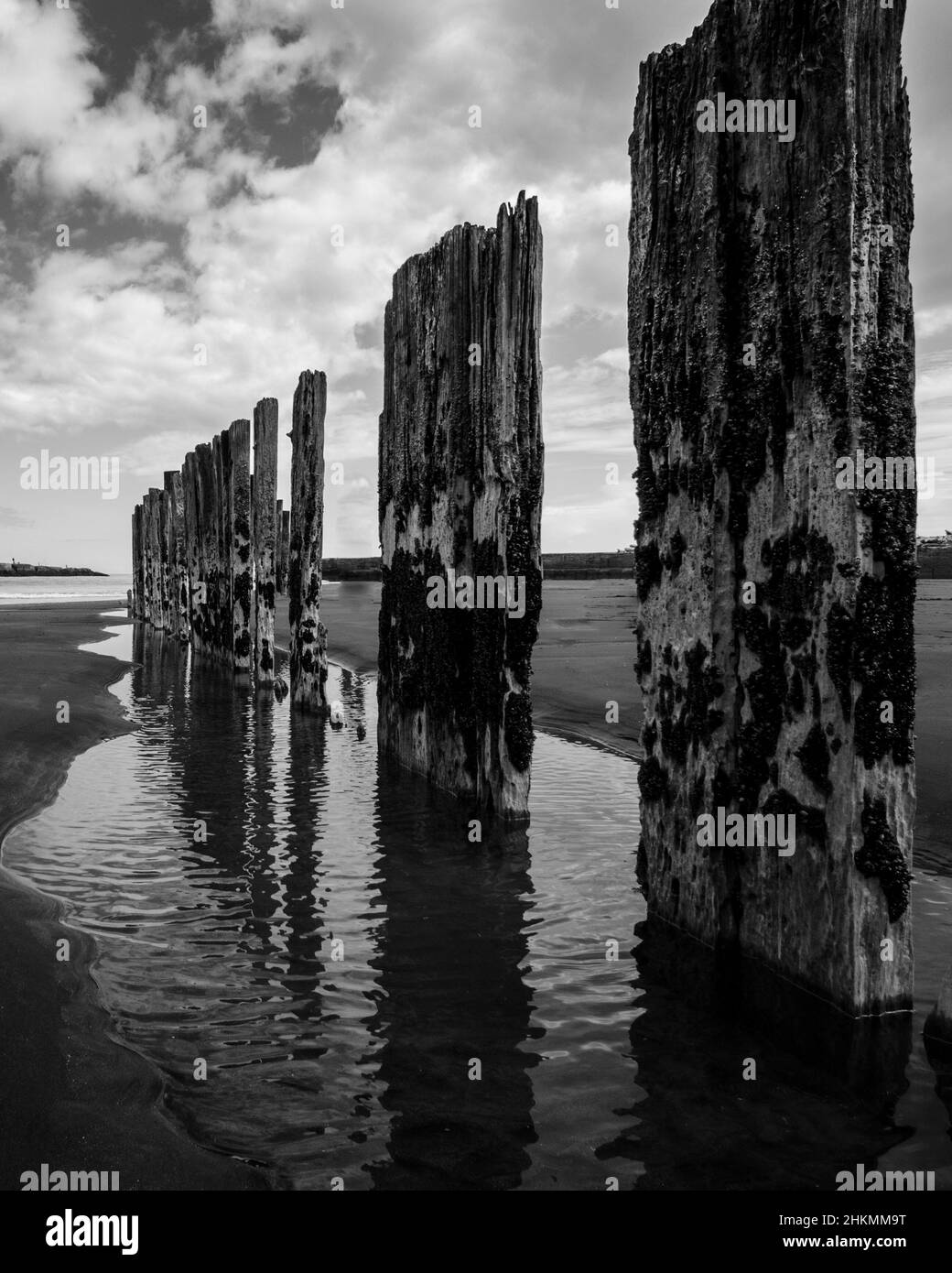 Line wooden posts Black and White Stock Photos & Images - Alamy
