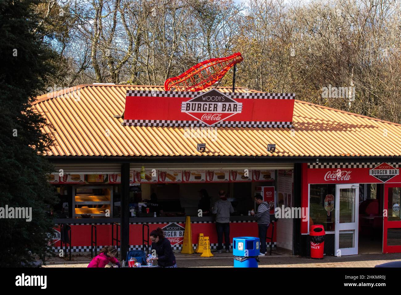 Oakwood Theme Park, Speed No Limits Rollercoaster , Megafobia Wooden ...