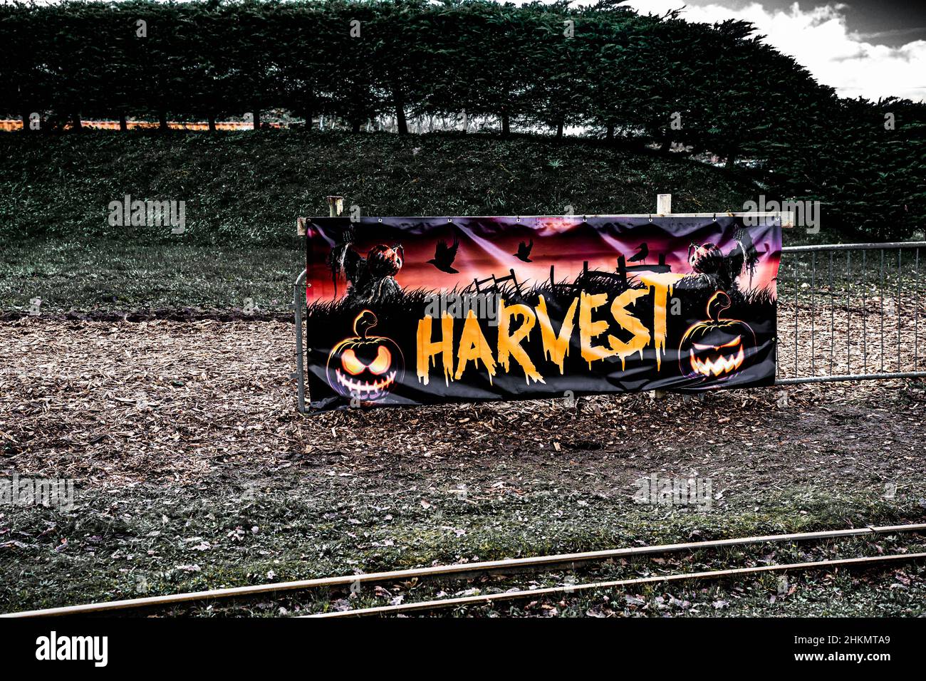 Oakwood Theme Park, Speed No Limits Rollercoaster , Megafobia Wooden ...