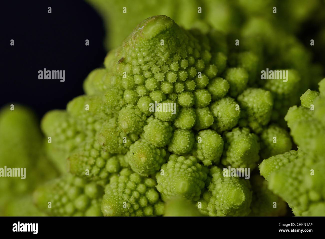 Romanesco also known as Roman cauliflower, Broccolo Romanesco ...
