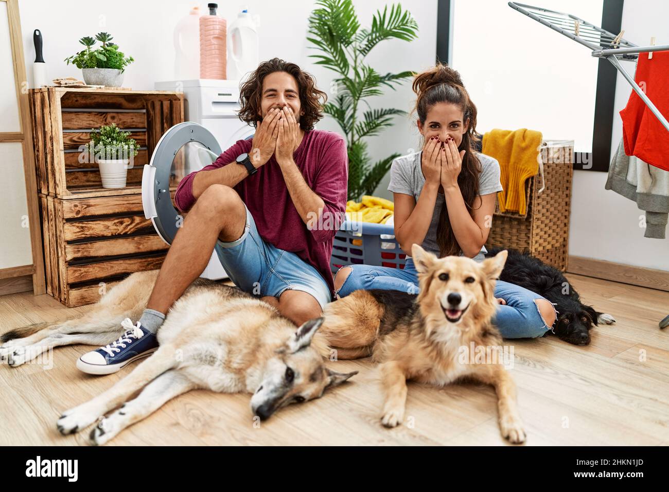 Young hispanic couple doing laundry with dogs laughing and embarrassed ...