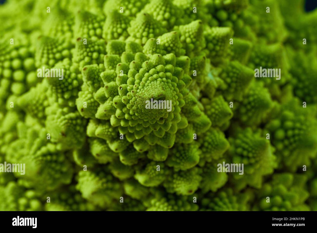Romanesco also known as Roman cauliflower, Broccolo Romanesco ...