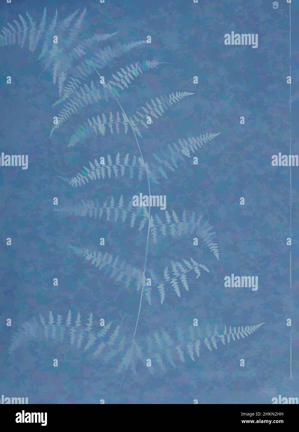 Art inspired by Hypolepis distans, Hunua. From the album: New Zealand ...