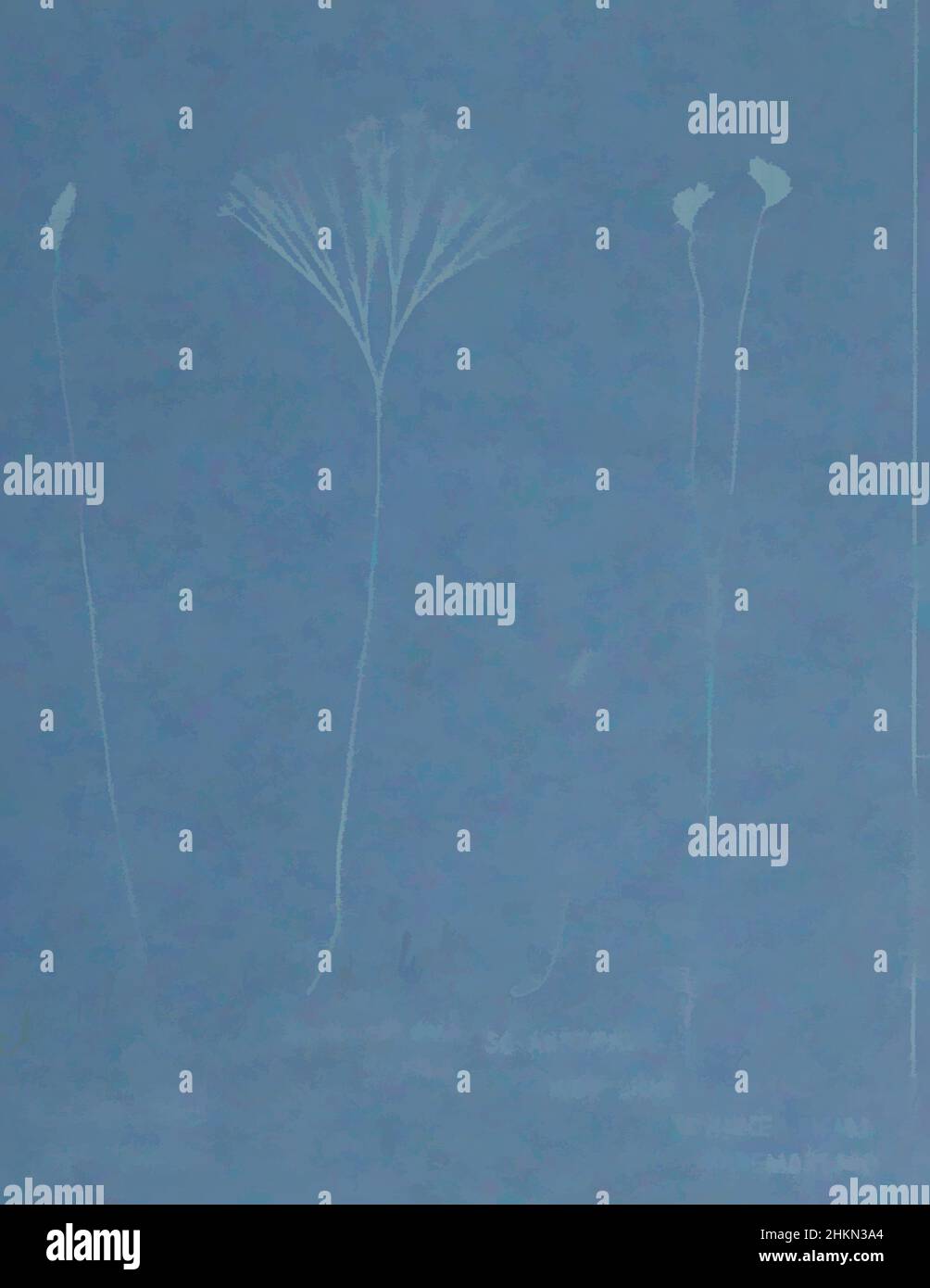 Art inspired by Ferns. From the album: New Zealand ferns. 167 varieties ...