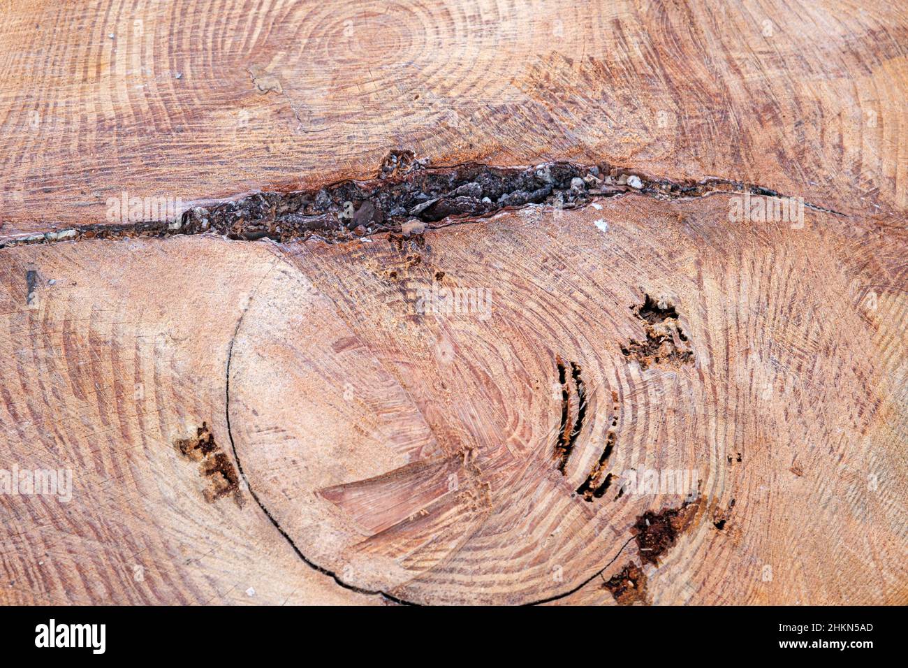 Top view wood surface hi-res stock photography and images - Alamy