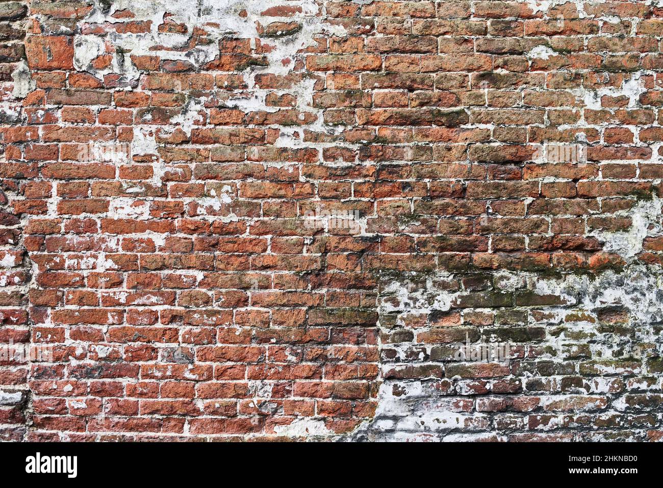Decay brick wall surface background Stock Photo - Alamy