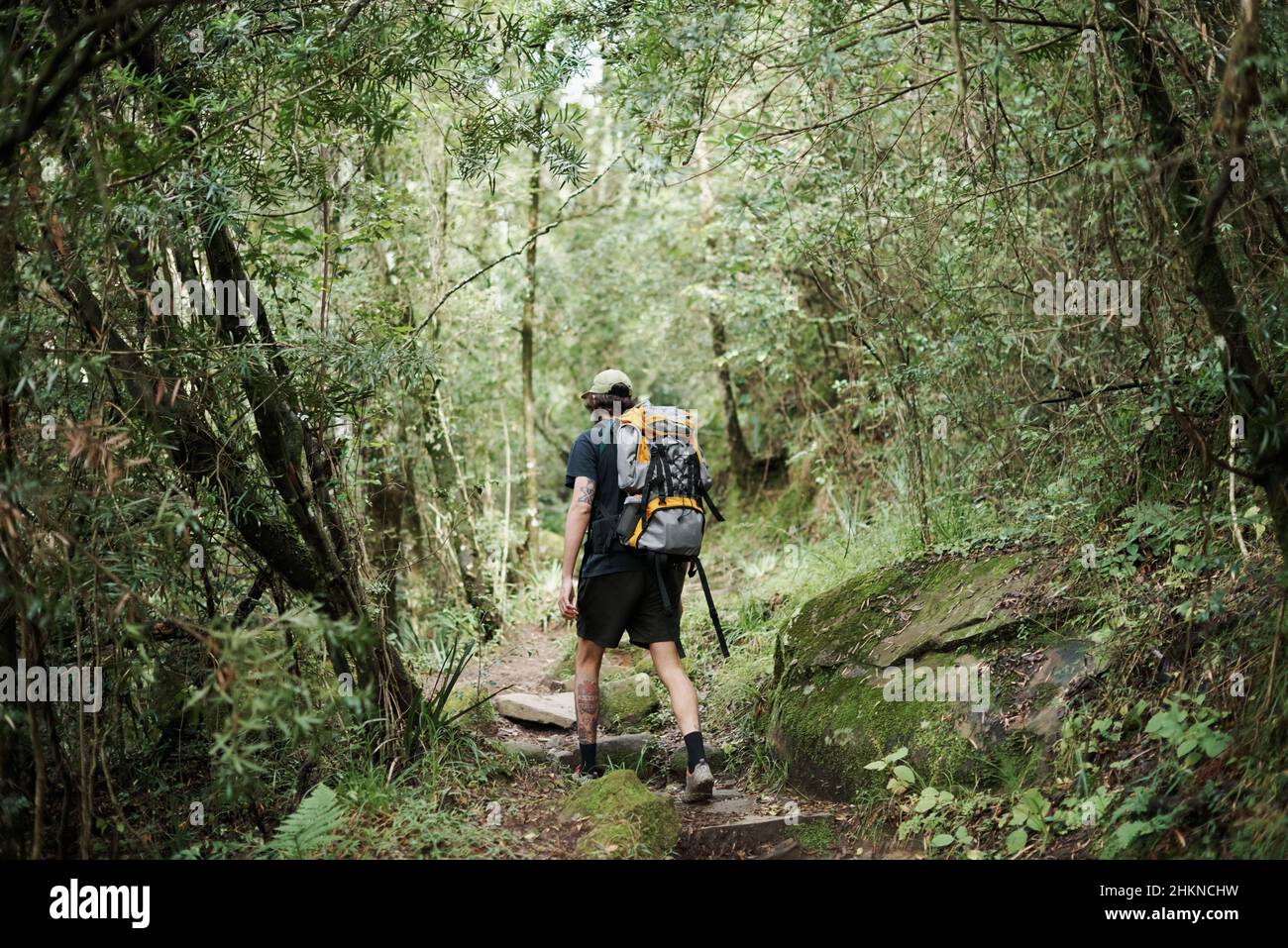 Adventure and exploration hi-res stock photography and images - Alamy