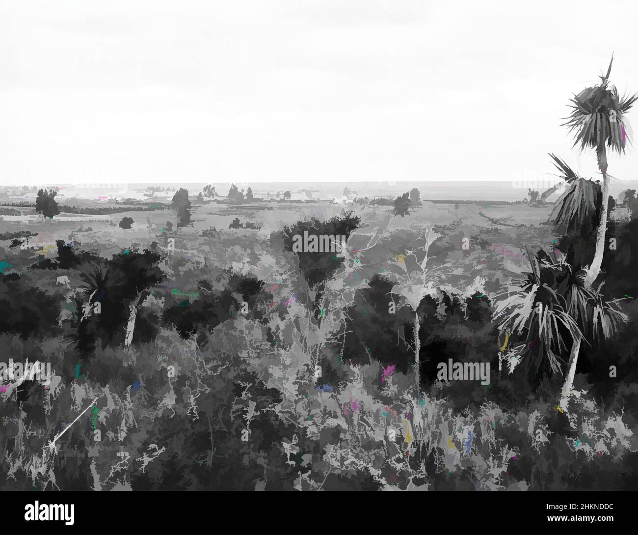 Art inspired by Waimate, Burton Brothers studio, photography studio ...