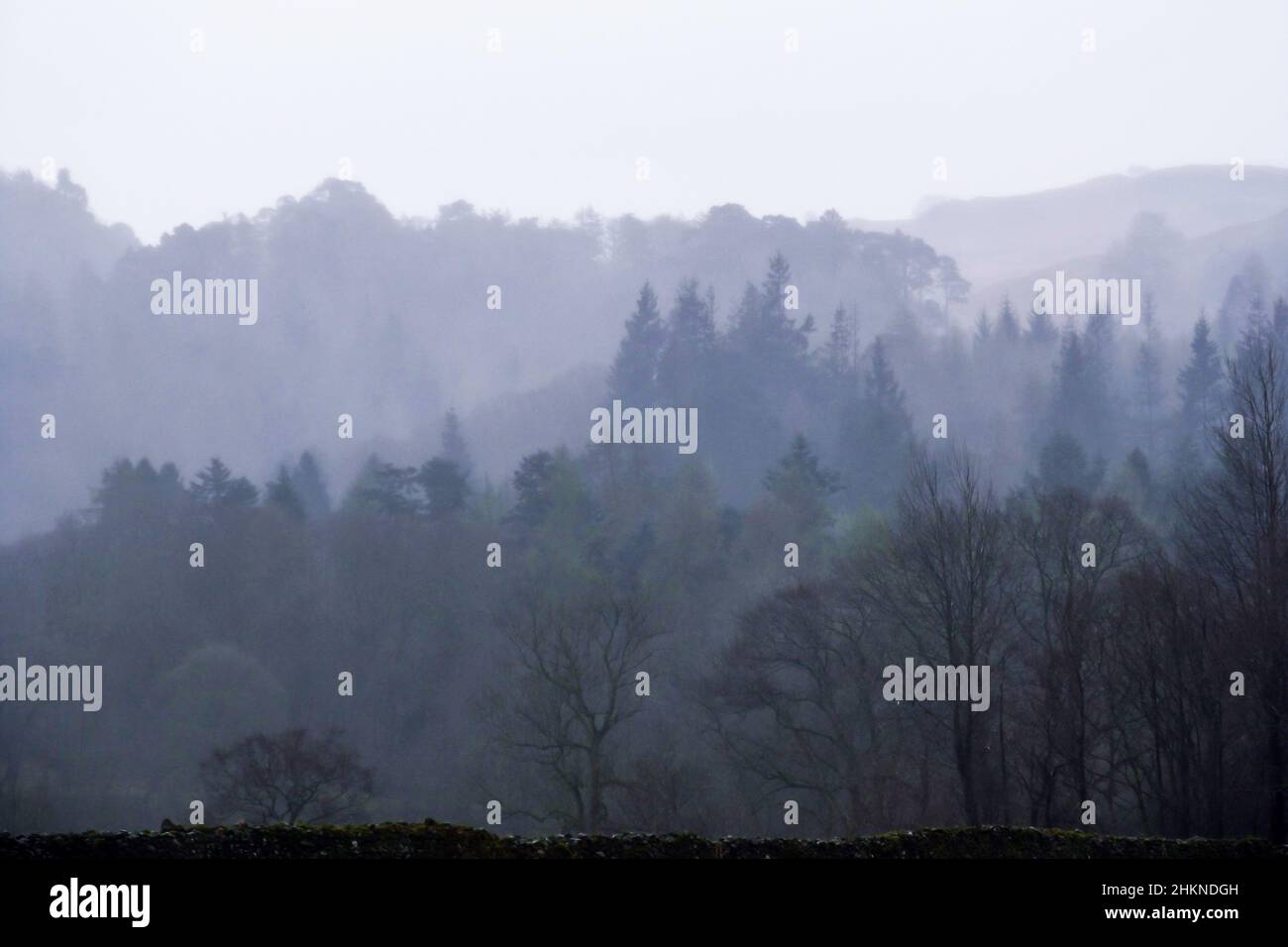 The Wooded Hills of the Lake District shrouded in mist Stock Photo - Alamy