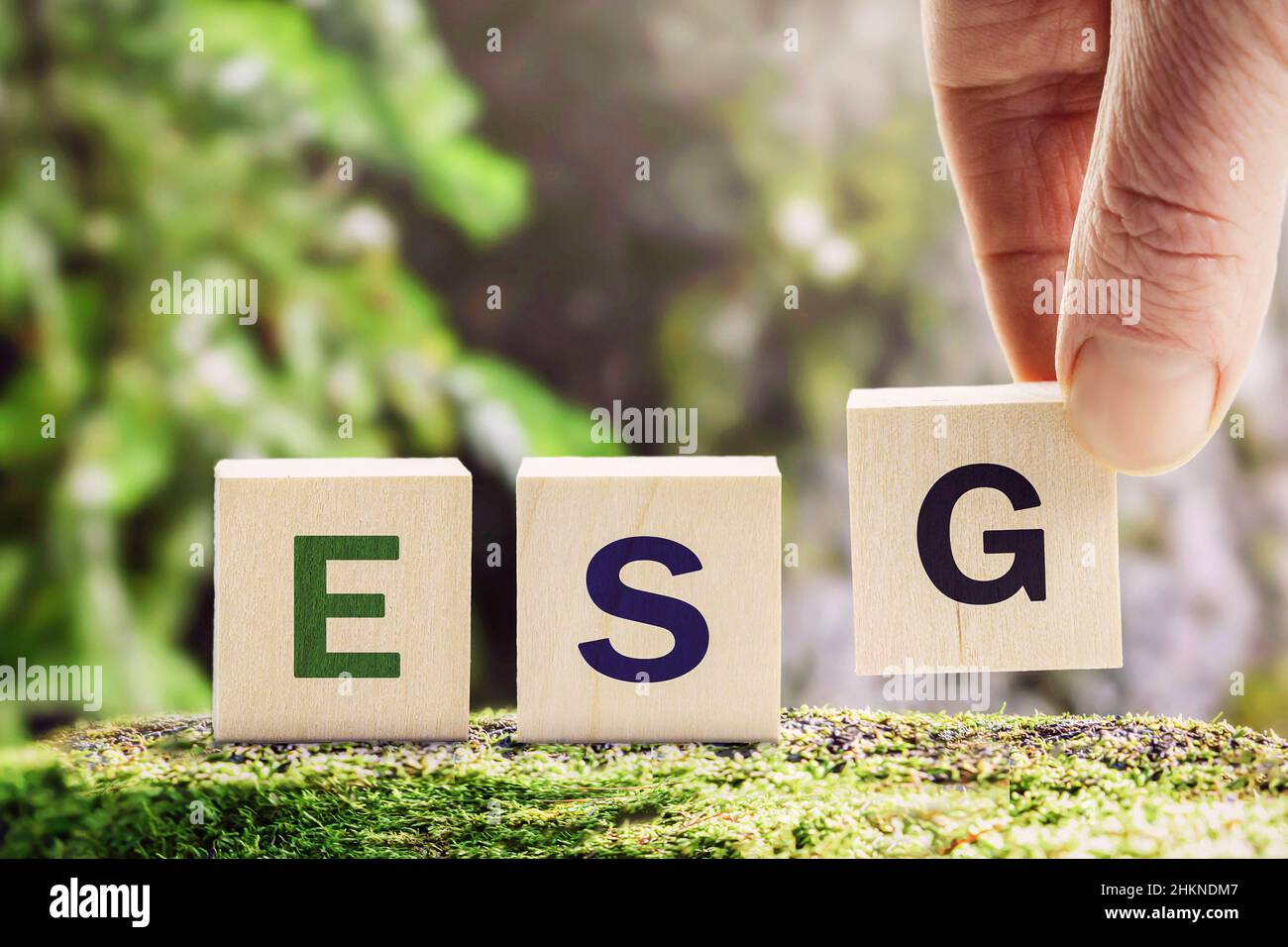 ESG concept of environmental, social and governance.words ESG on a wood ...