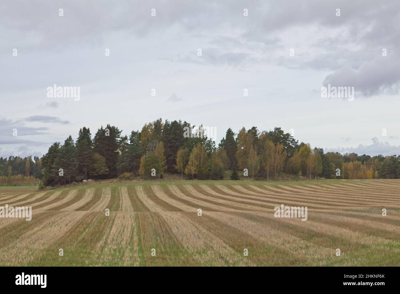 Field view in fall Stock Photo - Alamy
