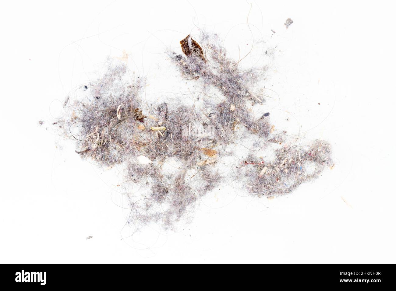 Messy dust Cut Out Stock Images & Pictures - Alamy